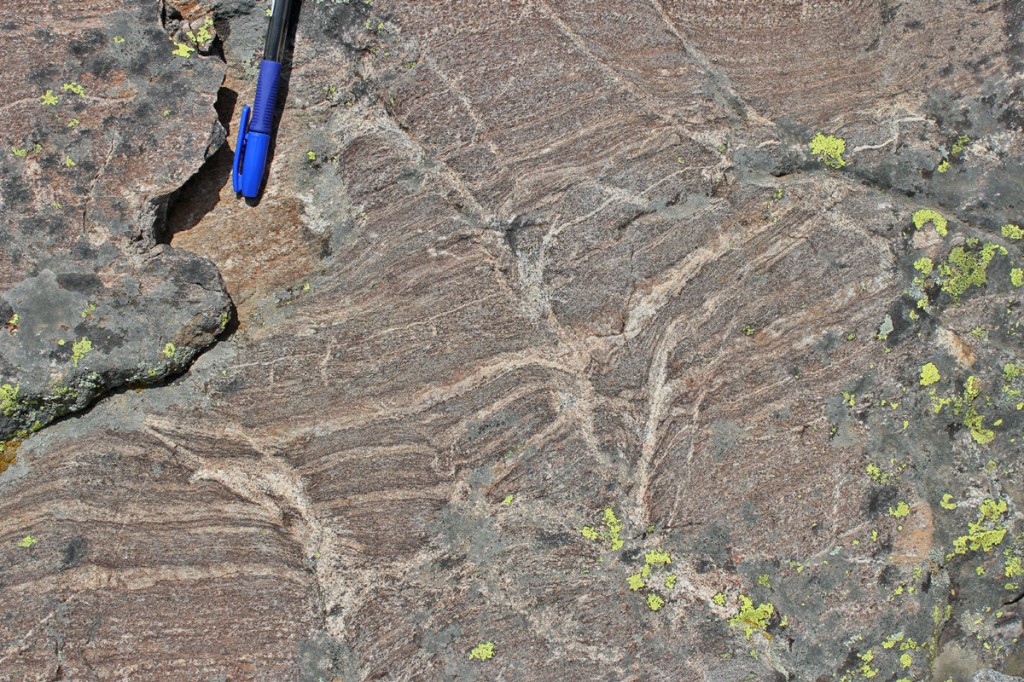 Migmatitas – Un geólogo en apuros